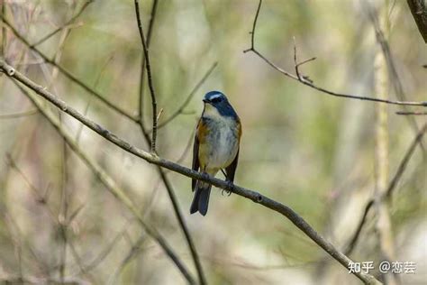 Vscode里面出现“因exception已暂停”怎么解决？ 知乎