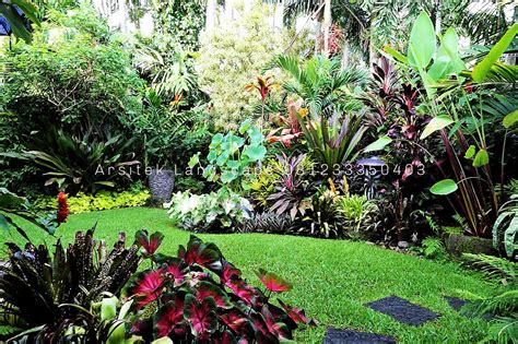 Taman Tropis Jasa Pembuatan Taman