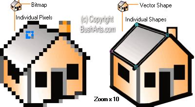 Bitmap Vs Vector Graphics Images Vector And Bitmap Graphics Bitmap Vs Vector And Katekyo