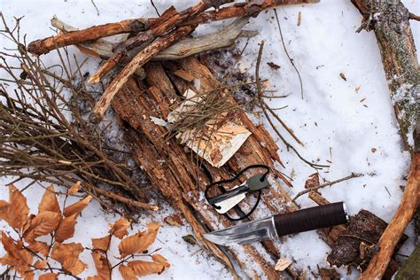 How To Build A Campfire For Beginners Travels And Curiosities Curious Travel Destinations