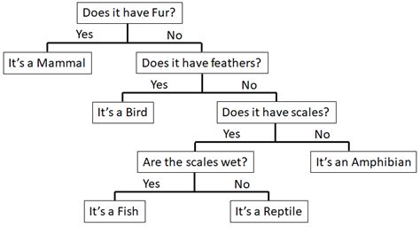 Classification Key Key Stage Wiki
