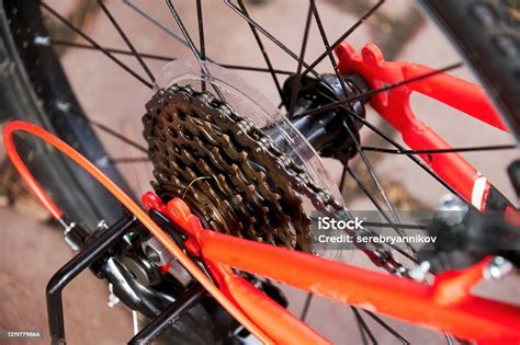 산악 자전거의 뒷바퀴에 있는 메탈릭 바이크 기어의 클로즈업 뷰 자전거 타기에 대한 스톡 사진 및 기타 이미지 자전거 타기 바퀴 수리 Istock