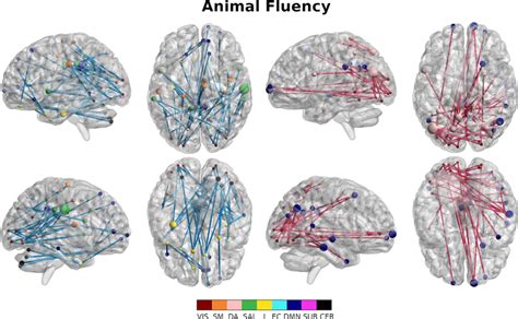 Overrepresented Edges Binomial Test α 01 For The Animal Fluency