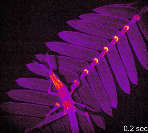 Annamalai R Posted On Linkedin