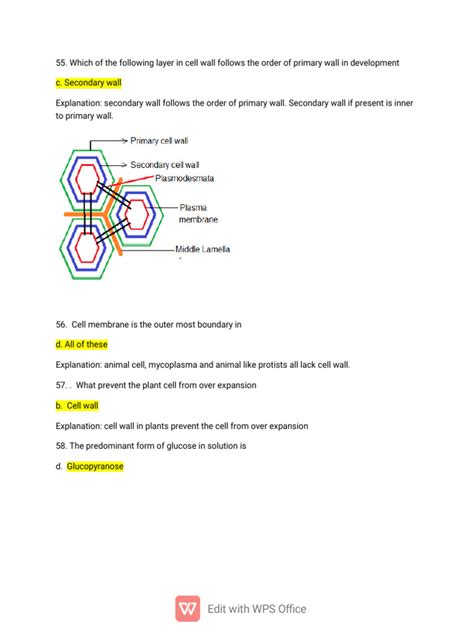 Biology Test Key Pdf Cellular Respiration Virus