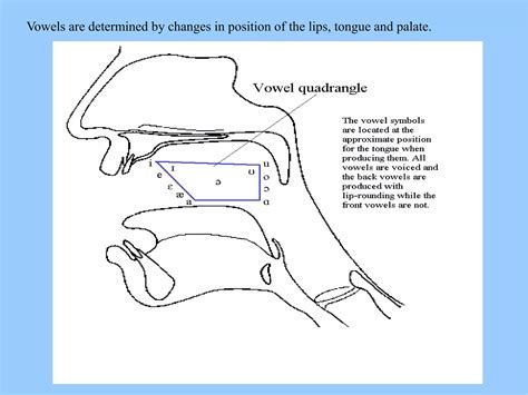 English Vowel System Odp