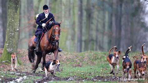 Les Anti Chasses Bloquent Les Parkings Des Veneurs De Chasse à Courre