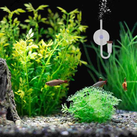 1 Set Co2 Diffuser For Water Plant Carbon Dioxide Vicedeal