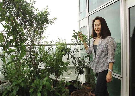 Green Living According To Elizabeth Sy Lifestyleinq