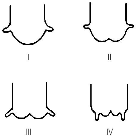 Goat Teat Shapes A Funnel B Cylindrical C Bottle Adapted From