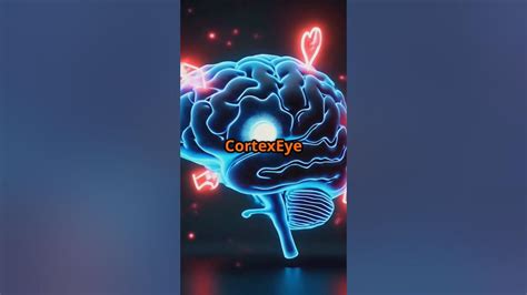 ai artificialintelligence machinelearning deeplearning airevolution futuretech