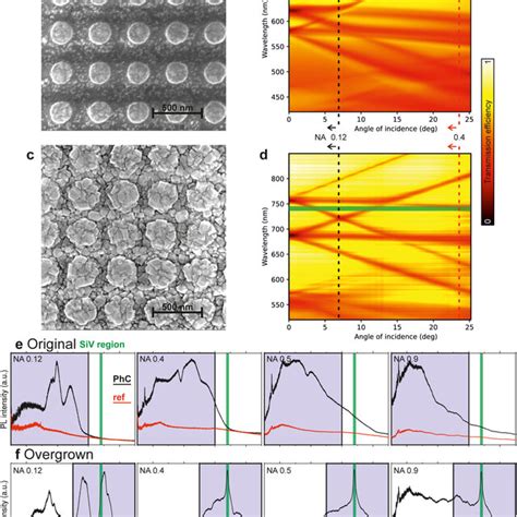 Scanning Electron Microscopy Sem Images And Measured Transmission Download Scientific Diagram