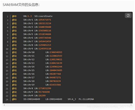 Sambam相关的进阶知识比对后的序列为什么进行排序picard Csdn博客
