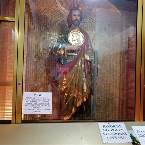 Ojo Bionico Eritroblasto PolicromatÓfilo Una Etapa De Facebook