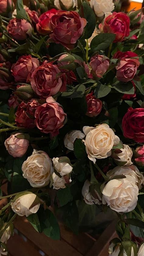 Discover 140 Aesthetic Flowers And Flower Aesthetic Ideas On This