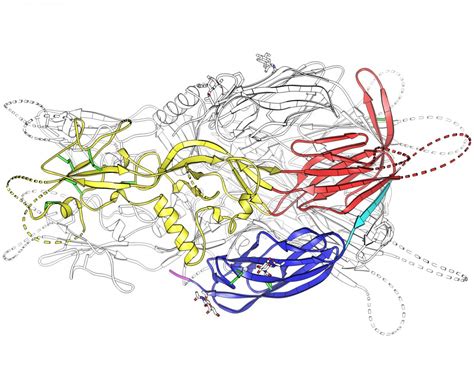 Link Between A Virus And Sexual Reproduction On Earth Institut Pasteur