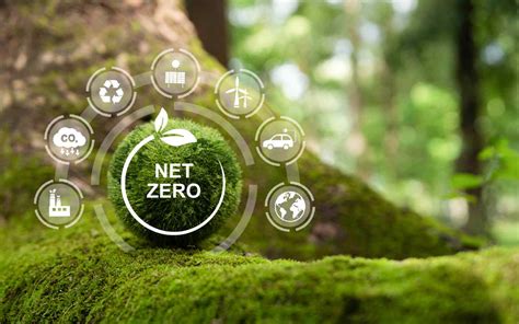 How To Create A Net Zero Action Plan & Become Carbon Neutral: A Guide ...