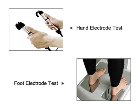 China Body Composition Analysis Machine Manufacturers Suppliers Factory