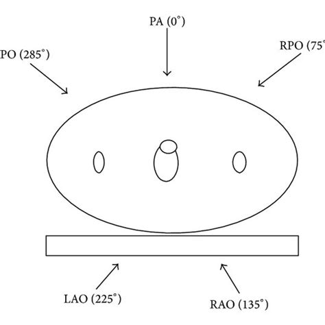 Mlc Leaf Position Check From Tps A And Verification Using Download Scientific Diagram