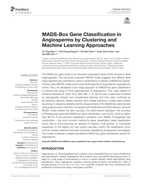 PDF MADS Box Gene Classification In Angiosperms By Clustering And Machine Learning Approaches