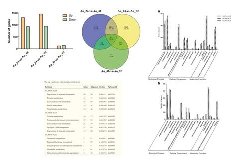 Transcriptomic Analysis Of Different Growth Stages Of Fungal Lifeasible