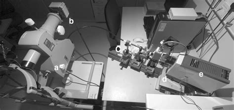 The Multispectral Imaging System The System Incorporates A A Download Scientific Diagram