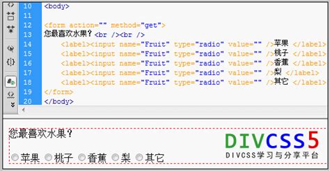 html 单选按钮控件标签 divcss5