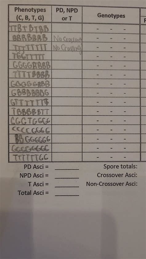 Solved Pd Asci Spore Totals Npd Asci Crossover Asci T