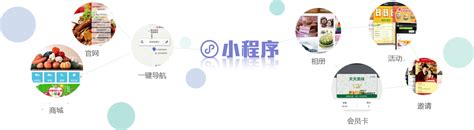 合肥小程序外包小程序开发小程序工具小程序制作公司 安徽豆米科技