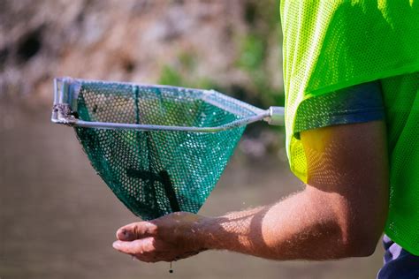 Macroinvertebrate Id Workshop Partners Of Scott County Watersheds