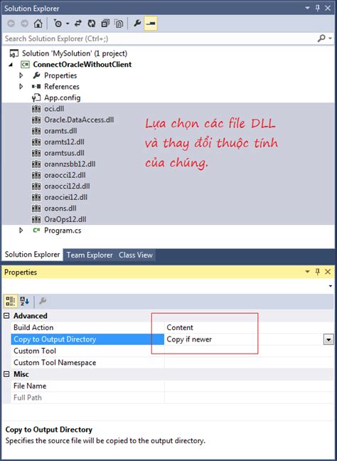 Hướng dẫn kết nối Database Oracle sử dụng C không cần Oracle Client