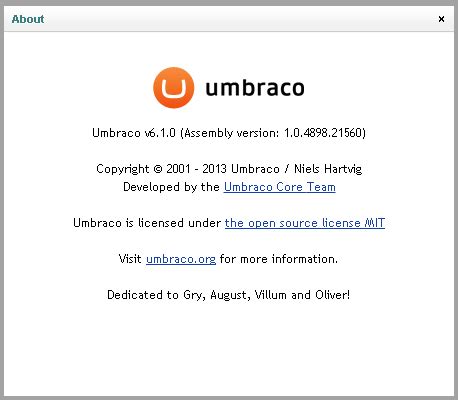 Updating Umbraco CMS Stefantsov Programming