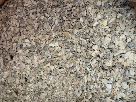 Calcium And Crushed Oyster Shells Grit For Chickens And Ducks 5 Lb Bag