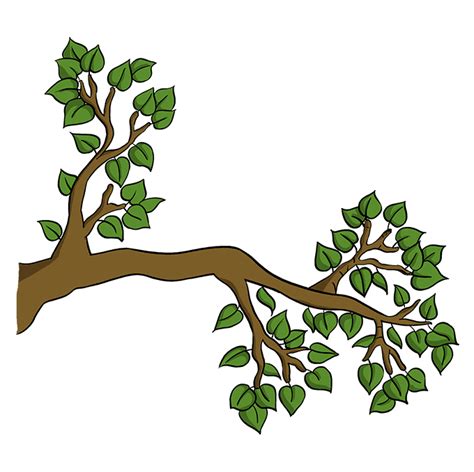How To Draw Tree Branch Drawing Skills Academy