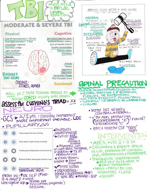 Nursing Health Assessment Mnemonics Tips Artofit