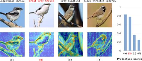 Semantic Feature Integration Network For Fine Grained Visual Classification Paper And Code