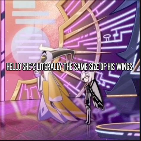 Hello Why Is Lute So Small Hotel Trivago Dont Drink And Drive