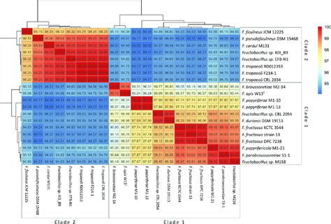 clustered heatmap showing 16s rrna identity between pairs of download scientific diagram