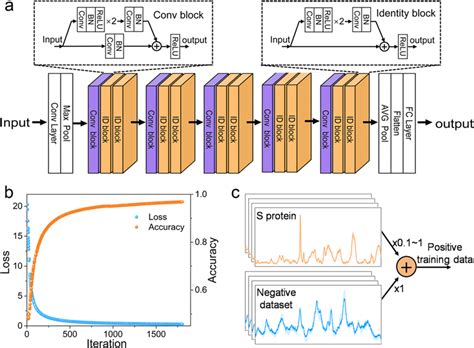 Deep Learning Based Sers For The Diagnosis Of Sars Cov 2 A The