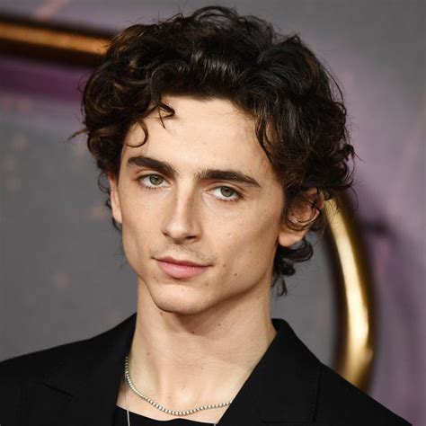 Timothée Chalamet News E Gossip Il Merch Di Harry Potter