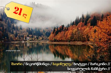 მწვანე ტურები საქართველო ლაშა ჩხარტიშვილი და კომპანია 🍂 შემოდგომის რაჭა შაორი