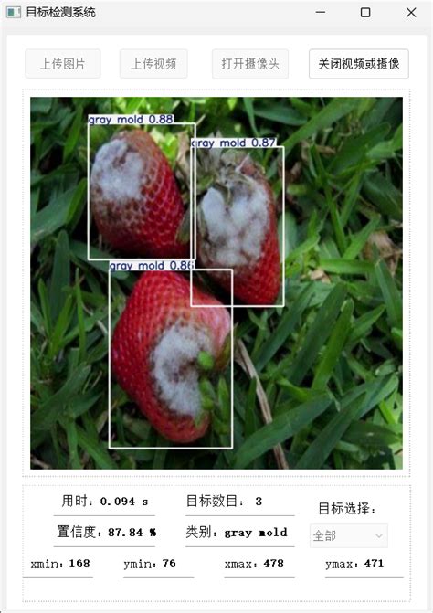 基于yolov11的草莓果实病害检测系统，支持图像、视频和摄像实时检测【pytorch框架、python源码】于yolov11算法的草莓植株