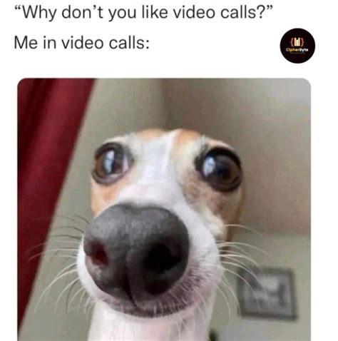 Cipherbyte Technologies On Linkedin 🤣🤣🤣