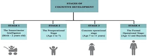 The Four Cognitive Development Stages As Per Piagets Theory Of Download Scientific Diagram