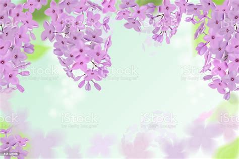 Vetores De Banners De Web Vector Com Flores Lilás Roxas Rosa Azuis E