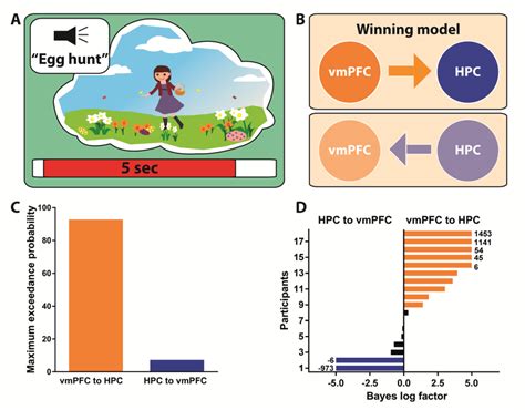 Effective Connectivity Between Vmpfc And Hippocampus During Am Download Scientific Diagram