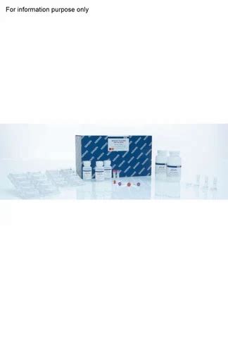 Qiagen Digene Hc2 High Risk Hpv Dna Test At ₹ 17000 In Pune Id 2855713677391