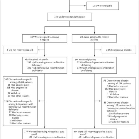 Pdf Niraparib In Patients With Newly Diagnosed Advanced Ovarian Cancer