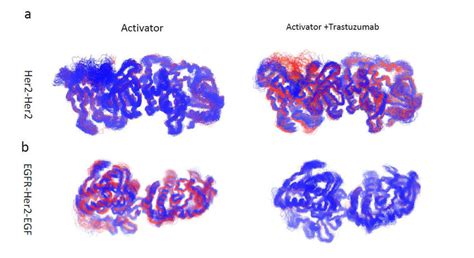 Clustered Conformation Of The Tyrosine Kinase Domain Of The Stable
