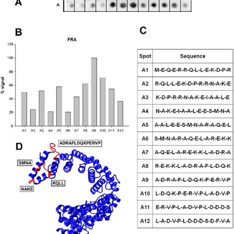 Linear Epitope Mapping Of Cra With Human Patient Sera Peptides
